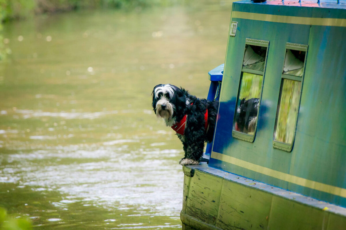 Narrow Boating Cheshire - Heritage Narrow Boats